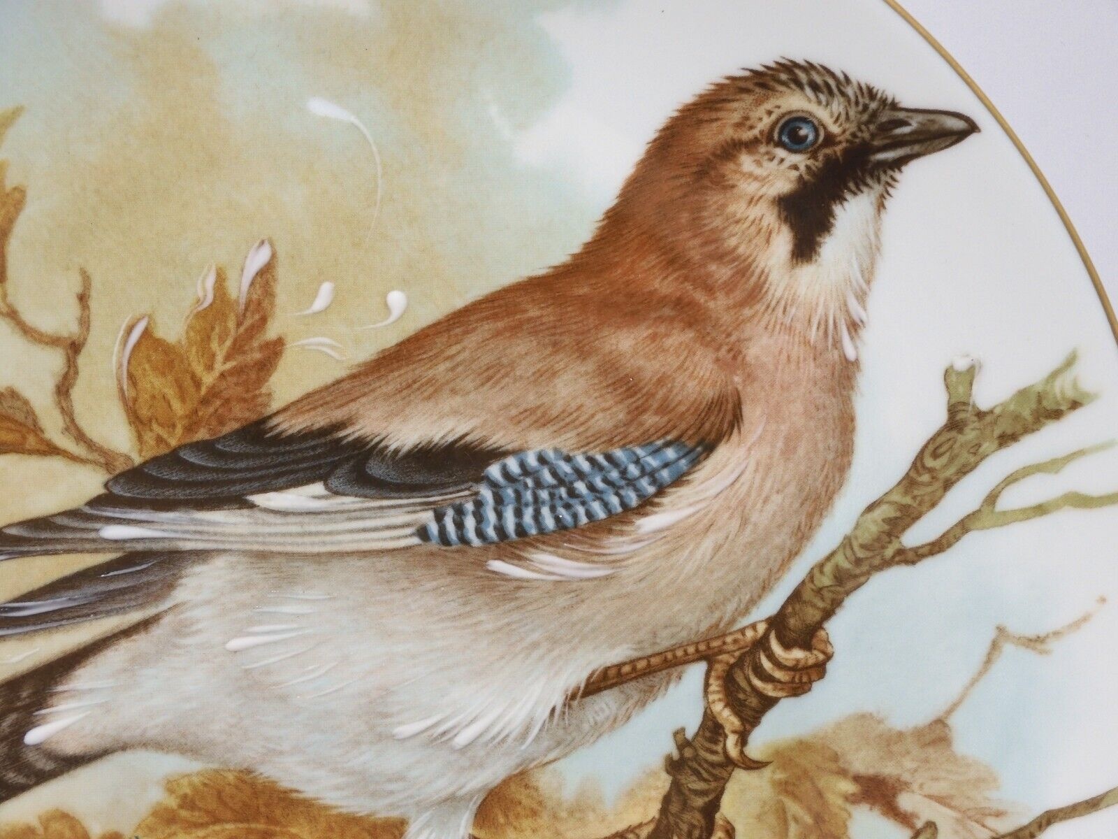 *ASSIETTE DECORATIVE PORCELAINE DART PASTAUD LIMOGES GEAI sur banche ...