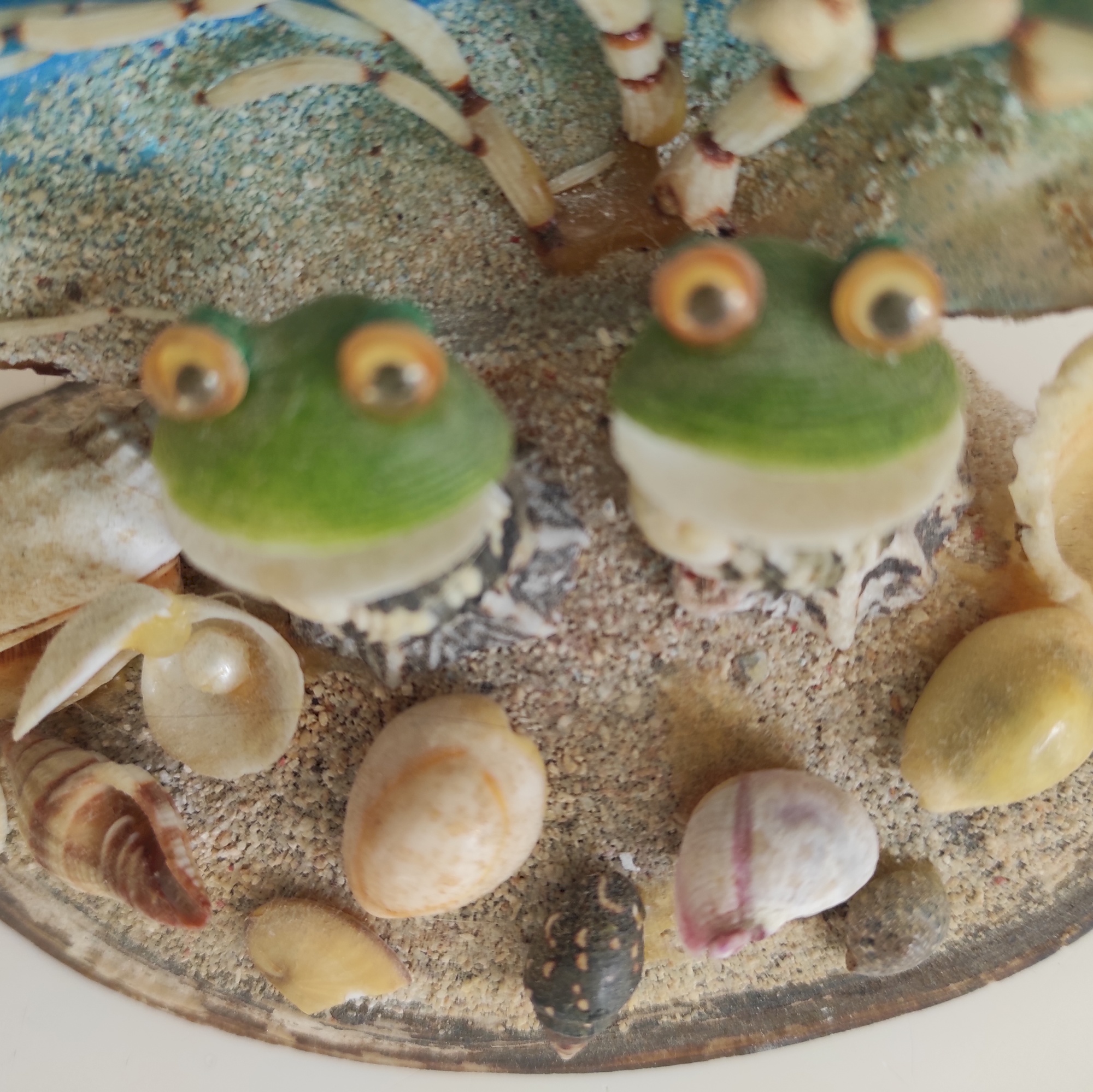 souvenir en sculpture de coquillages : couple de grenouilles à la perle ...